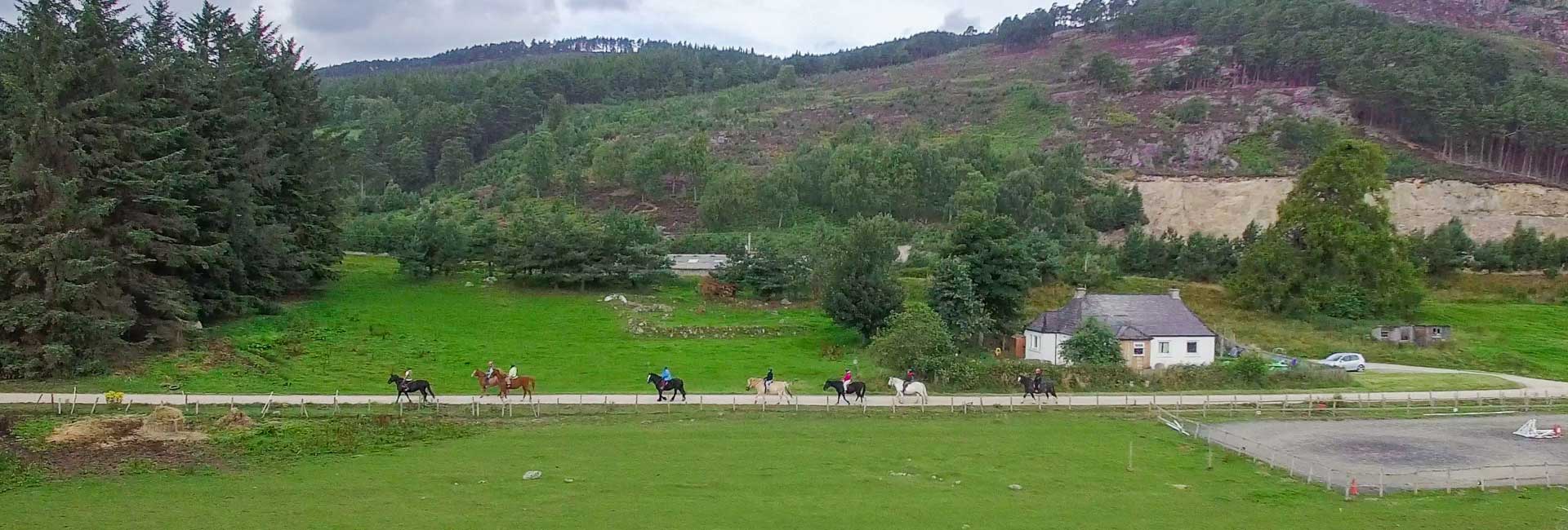 You’ll love your holiday at Alvie - Highlands Self Catering