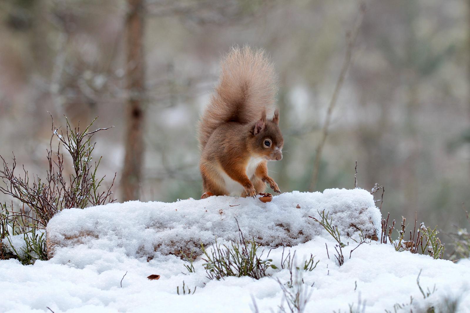 Looking for adventure? Look no further we offer numerous outdoor ...